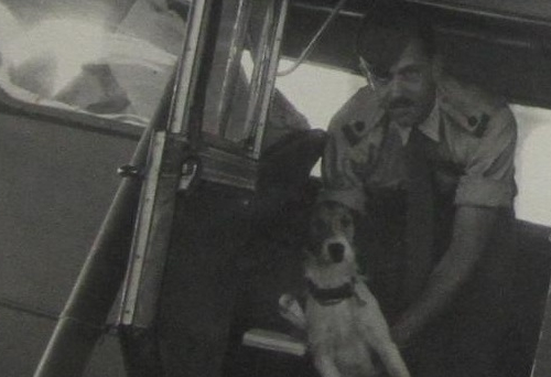 17 June 1940 - Aviation AOI